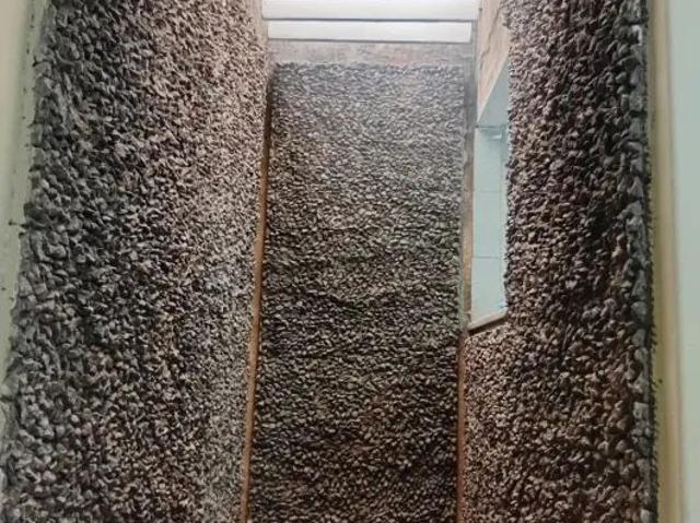 Apartamento com 1 Quarto para alugar, 60m² Parangaba