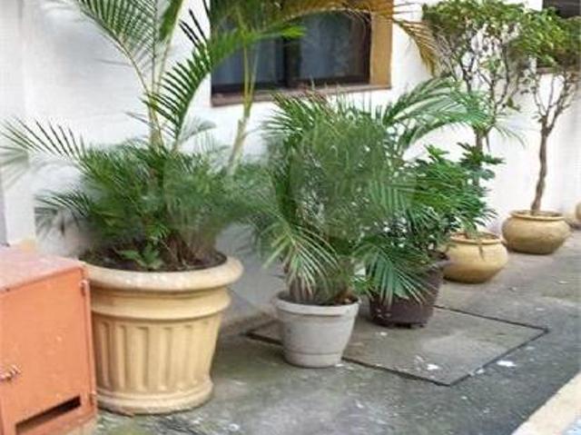 Apartamento com 1 quartos à venda em Bela vista SP
