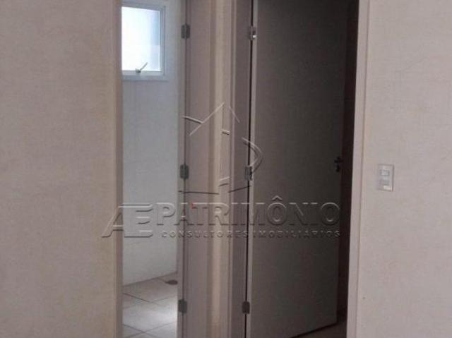 APARTAMENTO COM 1 QUARTOS HOUSE CAMPOLIM