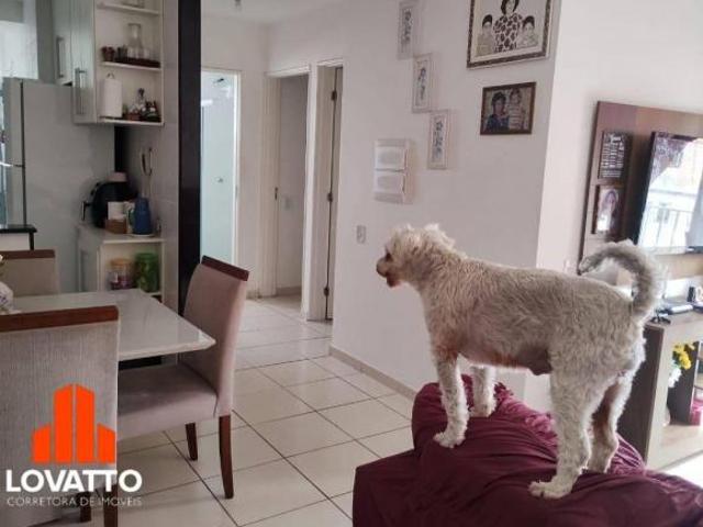 Apartamento com 2 dormitórios à venda Jardim do Estádio Santo André/SP