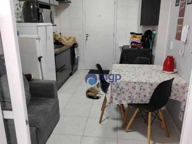 Apartamento com 2 dormitórios à venda, 38 m² Vila Guilherme