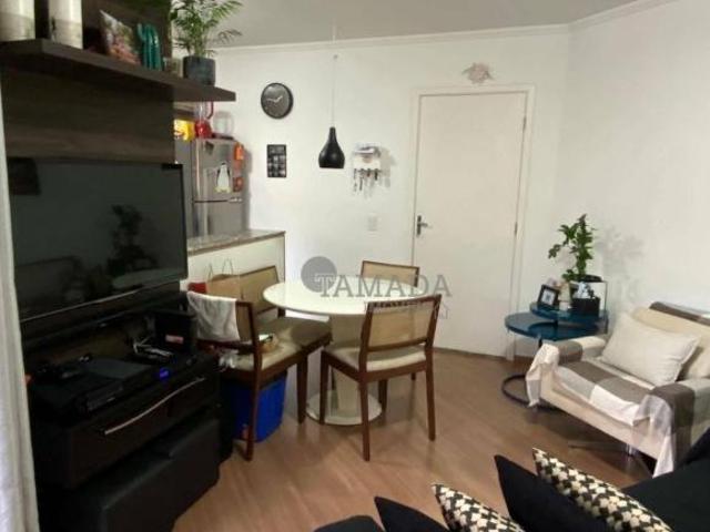 Apartamento com 2 dormitórios à venda, 47 m² por R$ 290.000,00 Vila Bela Vista Zona Norte São