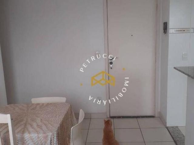 Apartamento com 2 dormitórios à venda, 48 m² Jardim Nova Europa Campinas/SP