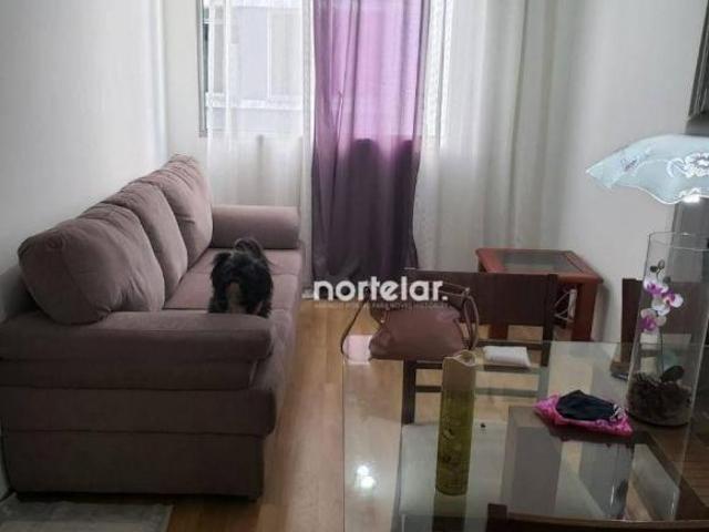 Apartamento com 2 dormitórios à venda, 48 m² por R$ 260.000,00 Vila Regina São Paulo/SP