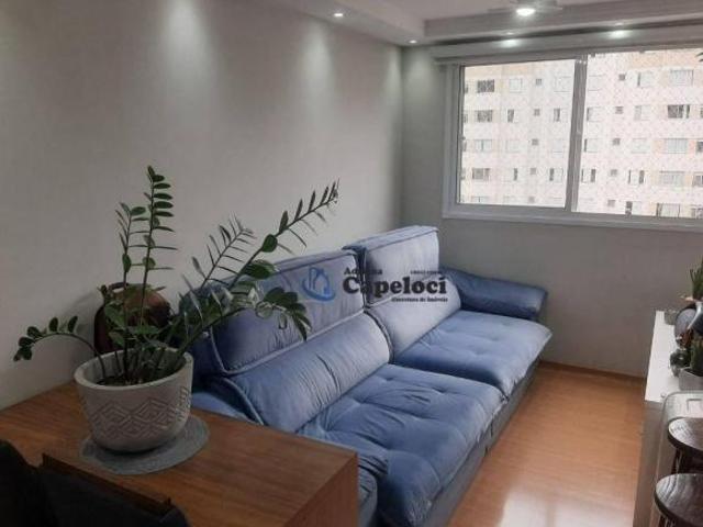 Apartamento com 2 dormitórios à venda, 48 m² Pirituba São Paulo/SP