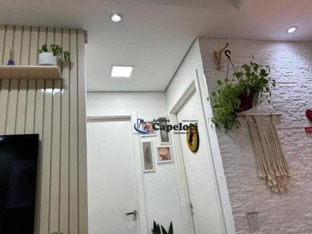 Apartamento com 2 dormitórios à venda, 42 m² Pirituba São Paulo/SP