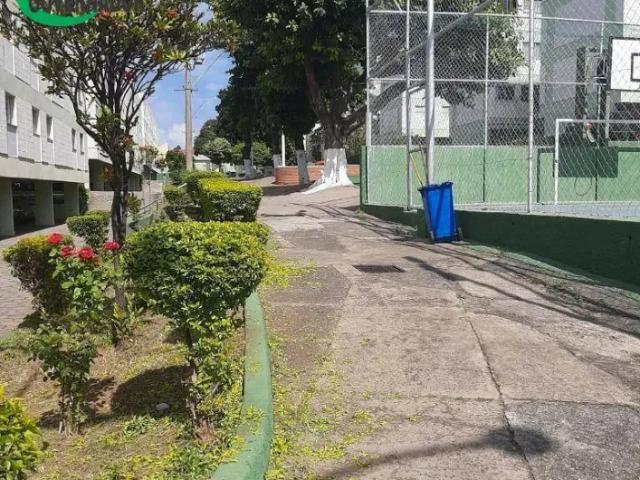 Apartamento com 2 quartos à venda, 55 m² Jardim Paulicéia Campinas/SP