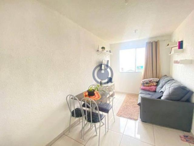 Apartamento com 2 dormitórios à venda, 55 m² por R$ 245.000 Jardim Cláudia Pinhais/PR