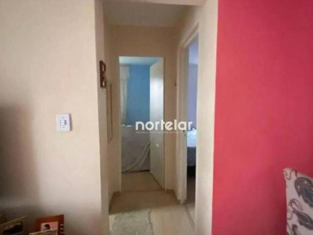 Apartamento com 2 dormitórios à venda, 56 m² por R$ 340.000,00 Vila Amélia São Paulo/SP
