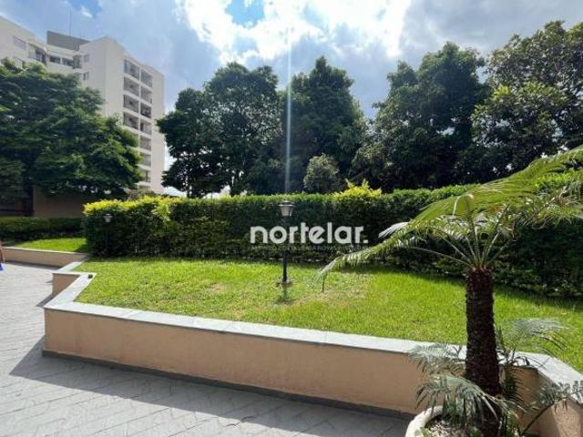 Apartamento com 2 dormitórios à venda, 56 m² por R$ 374.000,00 Vila Mangalot São Paulo/SP