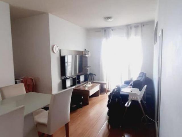 Apartamento com 2 dormitórios à venda, 50 m² Cambuci São Paulo/SP