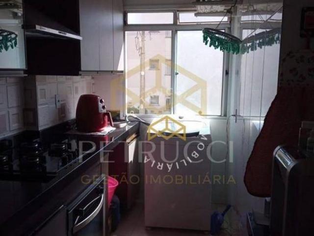 Apartamento com 2 dormitórios à venda, 50 m² por R$ 244.000,00 Jardim Santa Maria Nova Veneza