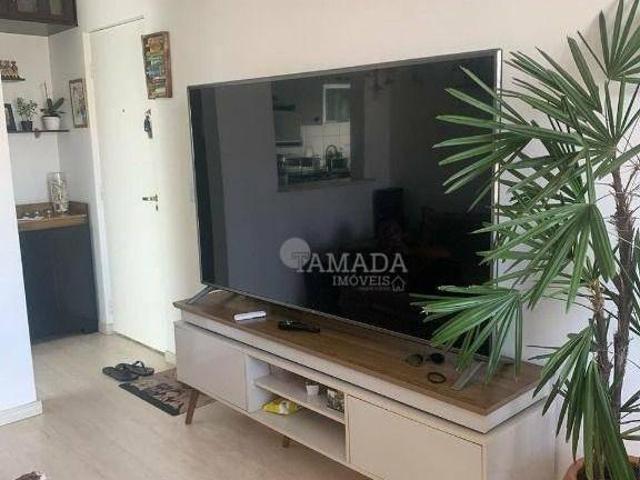 Apartamento com 2 dormitórios à venda, 51 m² por R$ 430.000,00 Vila Guilhermina São Paulo/SP
