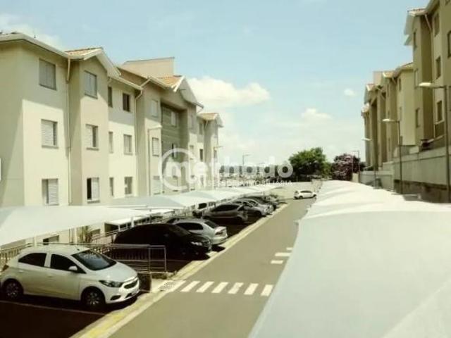 Apartamento com 2 dormitórios à venda, 67 m² por R$ 245.000,00 Residencial Cosmos Campinas/SP