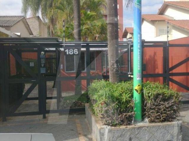 Apartamento com 2 dormitórios no Tucuruvi