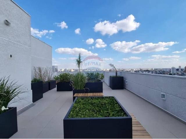Apartamento com 2 dormitórios para alugar, 38 m² Freguesia do Ó São Paulo/SP