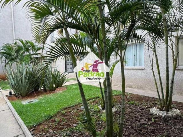 Apartamento com 2 dorms, Jardim Albertina, Guarulhos R$ 260 mil, Cod: 10262