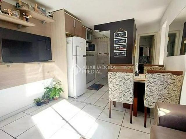 Apartamento com 2 quartos no bairro Gloria