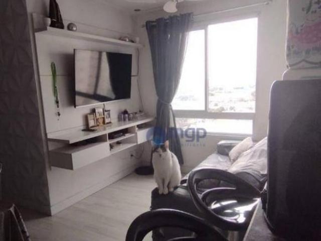 Apartamento com 2 quartos à venda, 50 m² Parque Novo Mundo São Paulo/SP