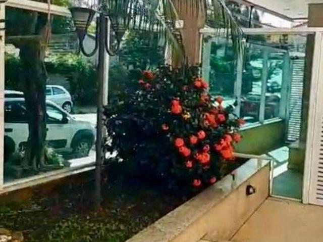 Apartamento com 2 quartos à venda, 50 m² por R$ 350.000 Vila Gustavo São Paulo/SP