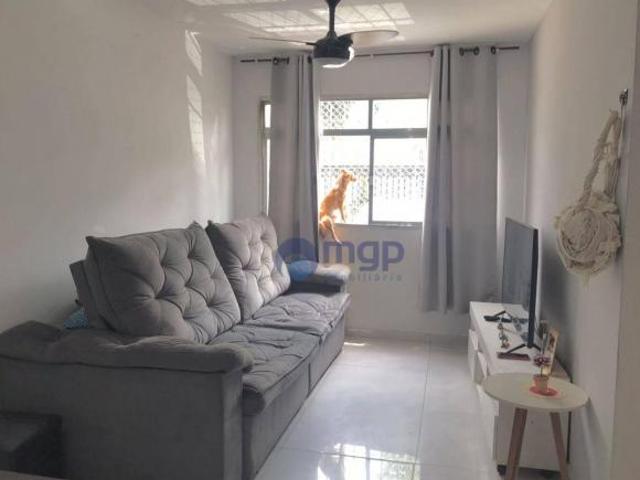 Apartamento com 2 quartos à venda, 70 m² Parque Novo Mundo São Paulo/SP