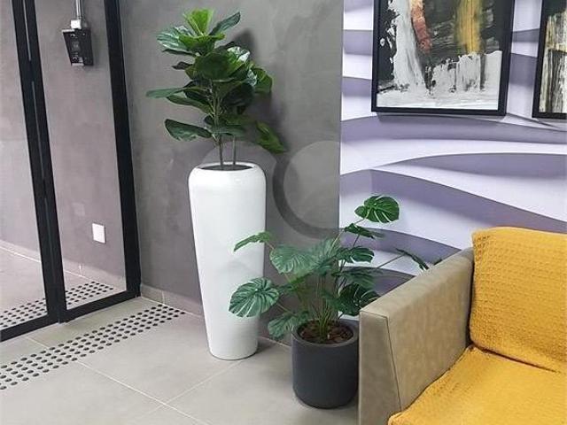 Apartamento com 2 quartos à venda em Carandiru SP