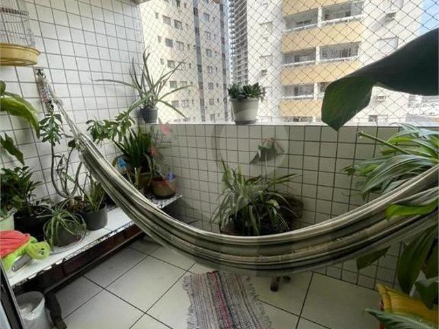 Apartamento com 2 quartos à venda em Guilhermina SP