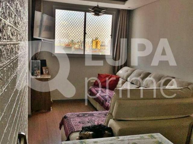 APARTAMENTO COM 2 QUARTOS À VENDA NO BRÁS