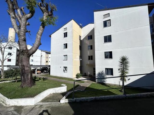 Apartamento com 2 quartos à venda São Pedro São José dos Pinhais/PR