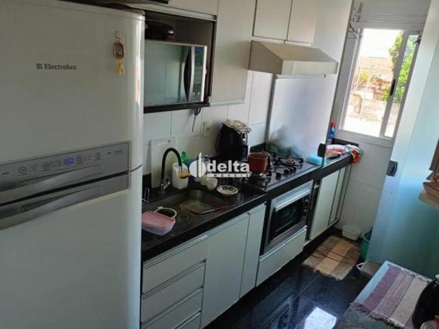 Apartamento com 2 quartos disponível para venda no bairro Segismundo Pereira em Uberlândia MG