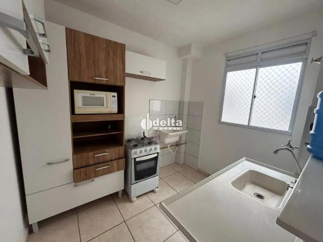 Apartamento Com 2 Quartos Disponível Para Locação No Bairro Jardim Holanda Em Uberlândia Mg