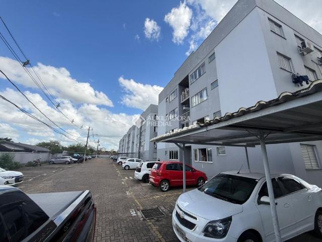 Apartamento com 2 quartos e 45m² para alugar em Passos dos Ferreiros, Gravataí
