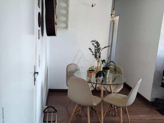 Apartamento com 2 quartos, Jardim Celeste, São Paulo R$ 320 mil, Cod: 6293