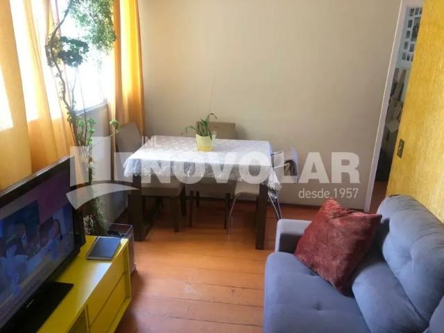 Apartamento com 2 Quartos para alugar, 100m² Vila Amália Zona Norte