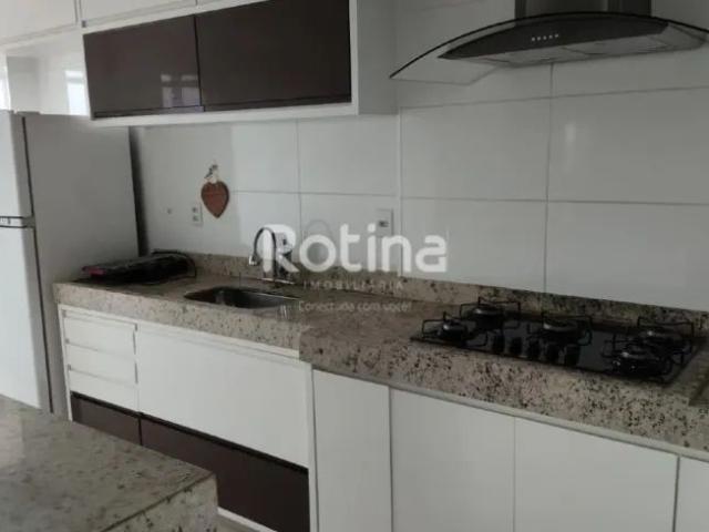 Apartamento com 2 Quartos para alugar, 45m² Santa Mônica