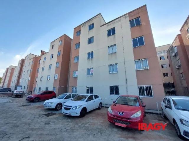 Apartamento com 2 Quartos para alugar, 46m² Serraria