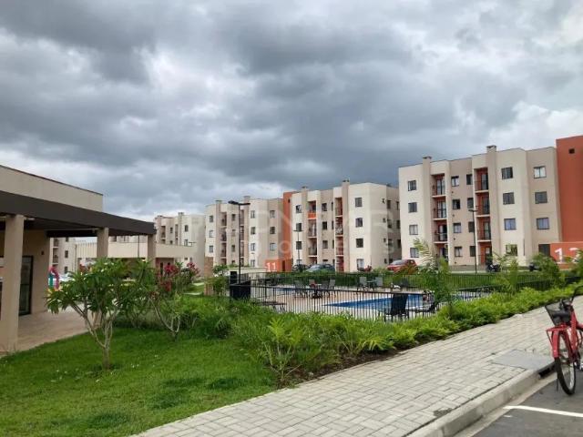 Apartamento com 2 Quartos para alugar, 48m² Paranaguamirim