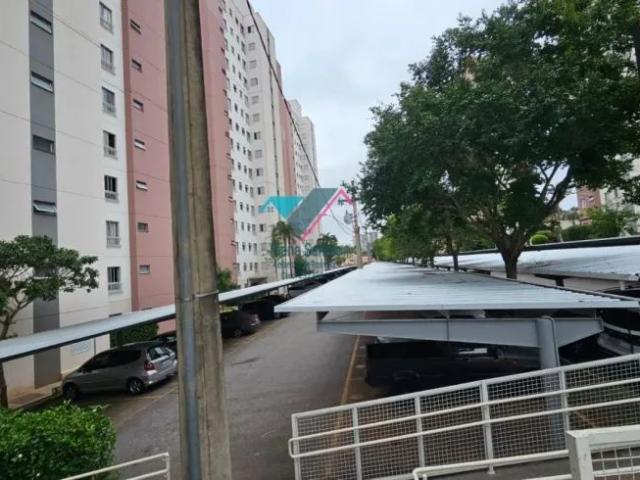 Apartamento com 2 Quartos para alugar, 49m² Cidade Nova