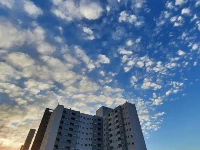 Apartamento com 2 Quartos para alugar, 49m² Condominio Residencial Colinas do Paratehy