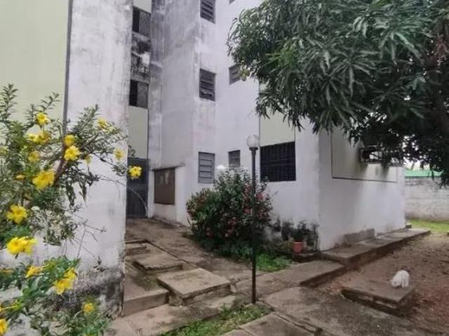 Apartamento com 2 Quartos para alugar, 42m² Cidade Nova