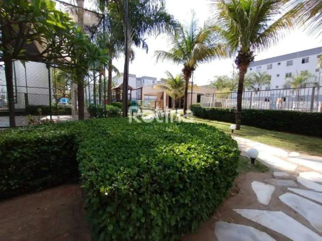 Apartamento com 2 Quartos para alugar, 42m² Shopping Park