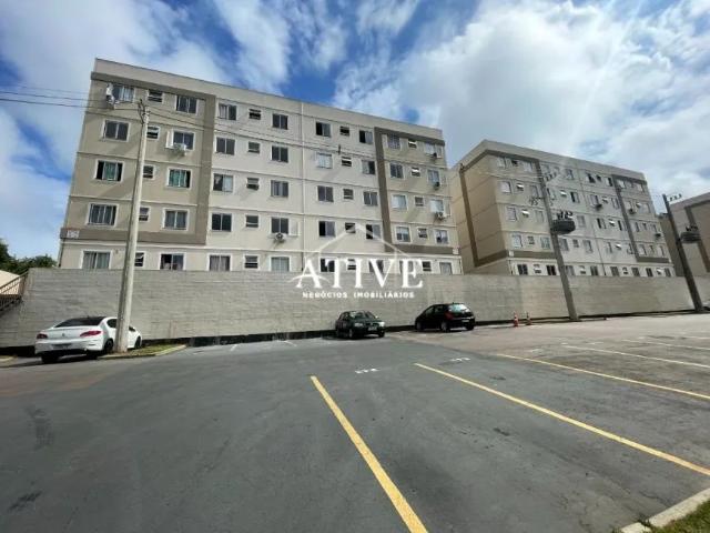 Apartamento com 2 Quartos para alugar, 55m² Jansen
