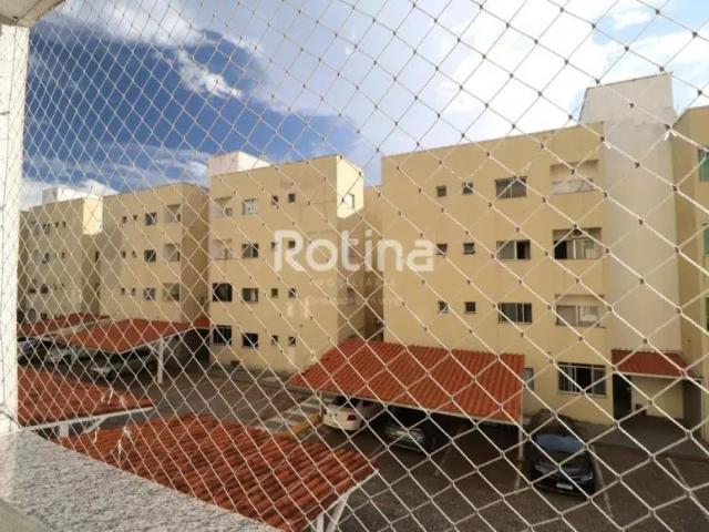 Apartamento com 2 Quartos para alugar, 55m² Santa Luzia