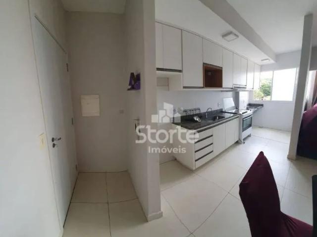 Apartamento com 2 Quartos para alugar, 57m² Jardim Holanda