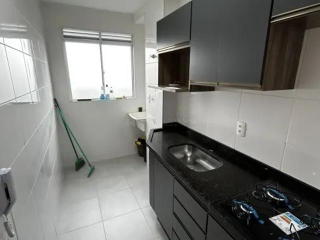 Apartamento com 2 Quartos para alugar, 52m² Ebenezer
