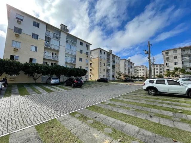 Apartamento com 2 Quartos para alugar, 60m² Praia da Baleia