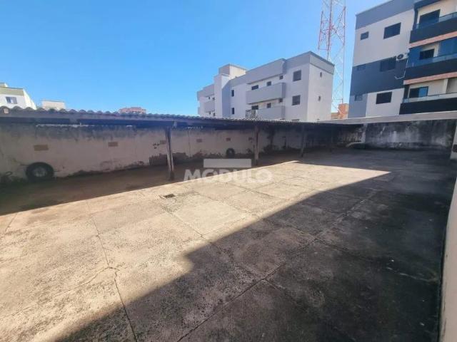 Apartamento com 2 Quartos para alugar, 60m² Santa Mônica