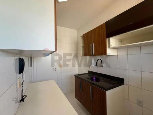 Apartamento com 2 Quartos para alugar, 61m² Pitangueiras