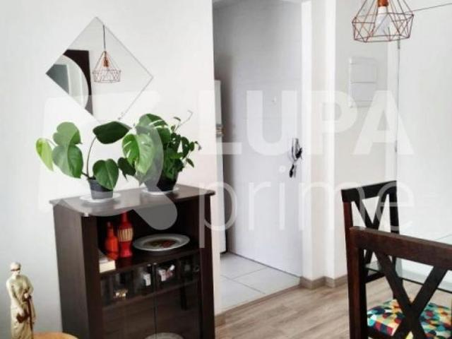 APARTAMENTO COM 2 QUARTOS PARA VENDA, VILA MARIA, SÃO PAULO