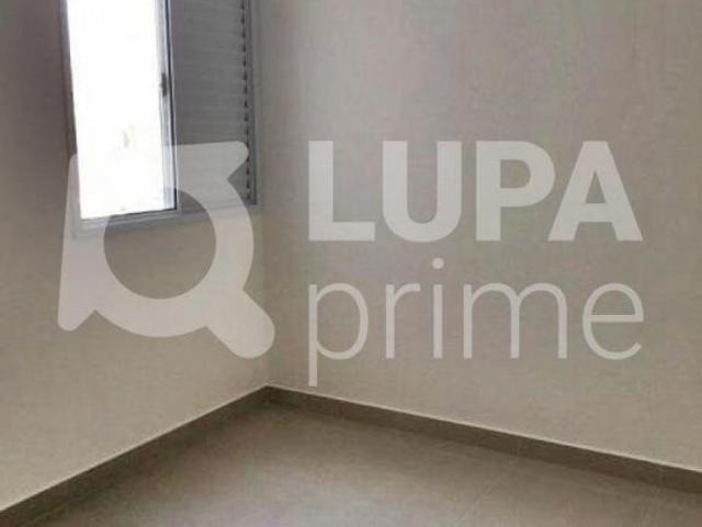 APARTAMENTO COM 2 QUARTOS PARA VENDA, VILA PAULO SILAS, SÃO PAULO